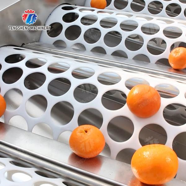 Quality Fruit Orange Vegetable Saiko persimmon lemon tangerine passion fruit avocado for sale