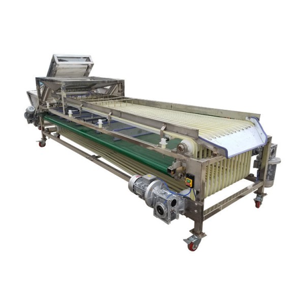 Quality Fruit Avocado Oranges Dates Size Grading Sorting Machine Mutifunction Automatic for sale