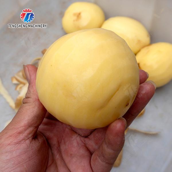 Quality Persimmon peeling machine processing production Supplying Machine for sale