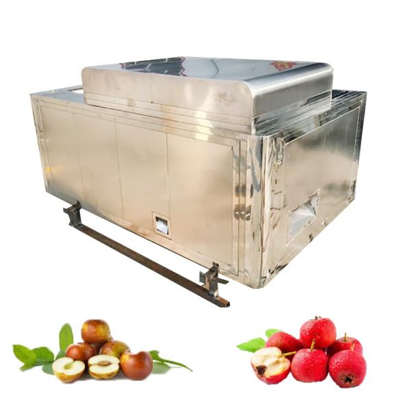 Quality Year 2023 Olive Seed Removing Machine with Jujube Core Removing and Labor Cost for sale