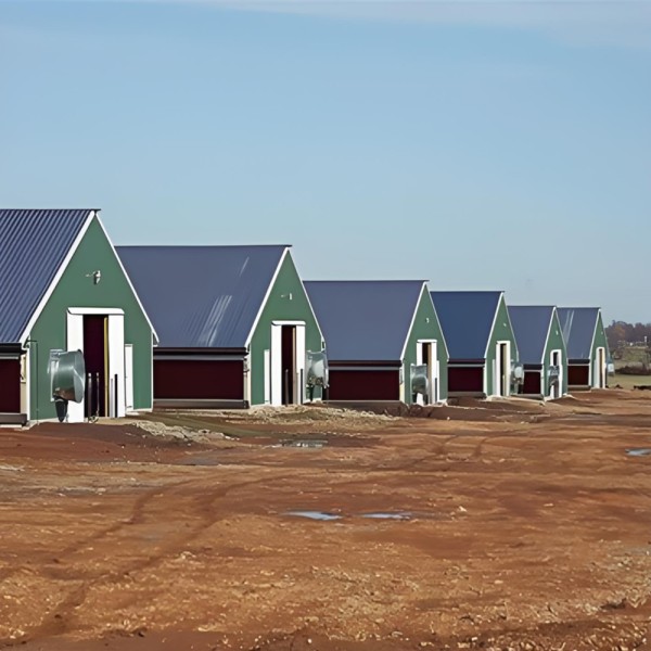 Quality Customized Prefab Poultry House With Steel Sheet Glass Wool Insulation Roof Cladding for sale