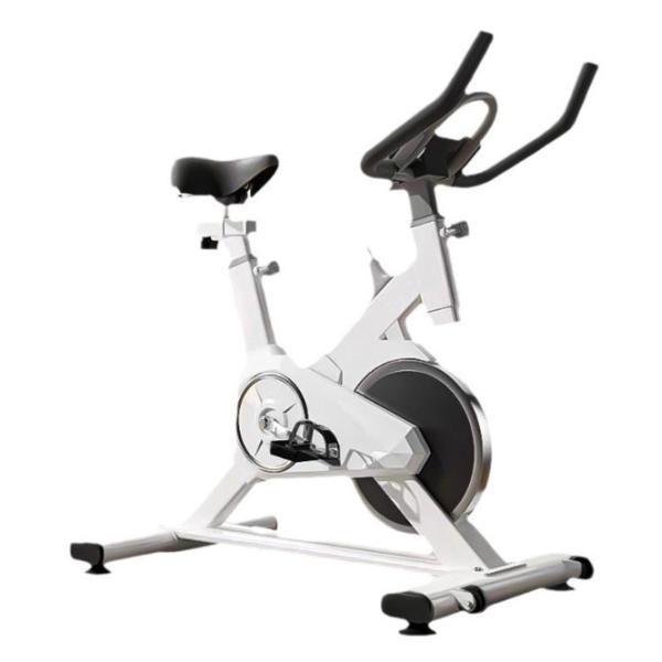 Quality Silent Household Dynamic Bicycles Aerobic Equipment Stepless Resistance Adjustment for sale