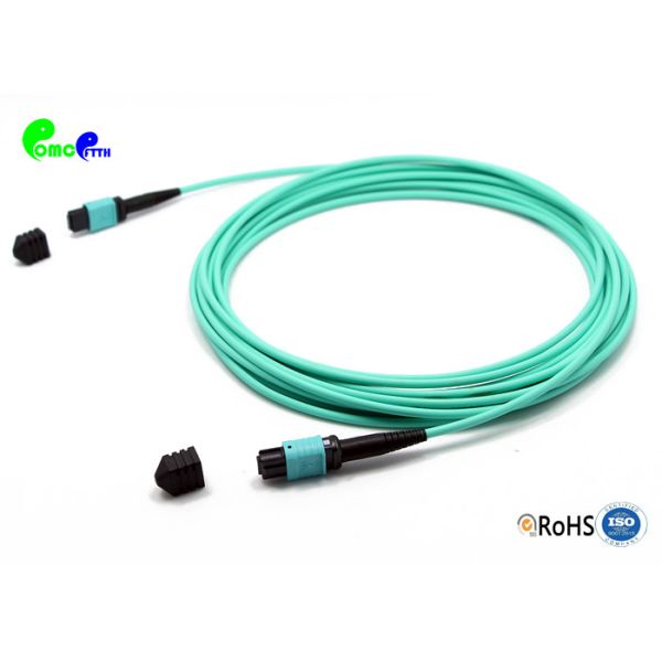 Quality OM3 12F MPO Trunk Cable Senko MPO female to MPO female 50 / 125um 3.0mm 5m LSZH Aque Low Insertion Loss for sale