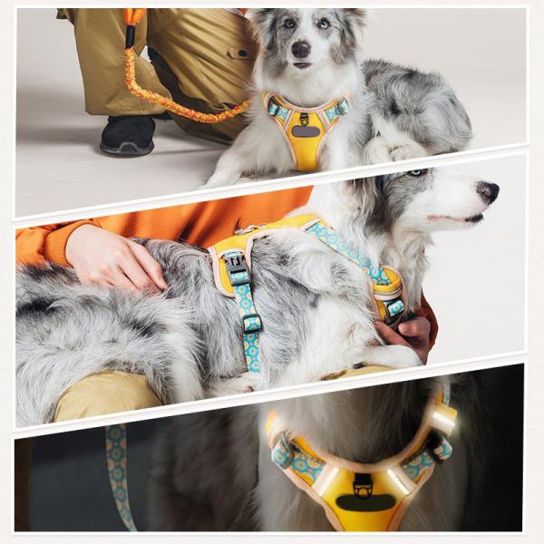 Quality No Pull Design Comfortable And Anti Choking Dog Harness Suitable For Training for sale