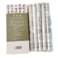 Quality Home Five Year Moxa Stick Moxibustion Sticks Traditional Chinese Medicine for sale