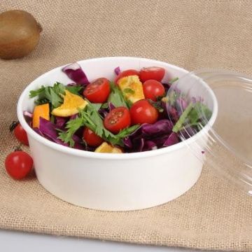 Quality 750ML Automatic Medium Speed Disposable Food Paper Bowl Making Machine Supplier for sale