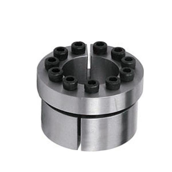 Quality Z13 Series GCr15 Bearing Steel Shaft Locking Assembly RLK302 for sale