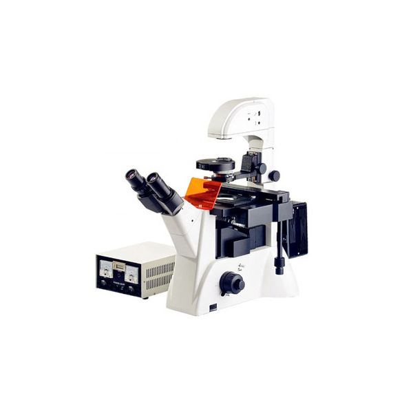 Quality Inverted Fluorescence Biology Lab Microscope Edu Science Microscope 1200x 20X for sale