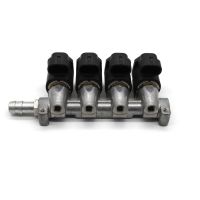 Quality stable performance 2 Ohm LPG CNG Injector Rail 4 Cylinder For Autogas Car Kits for sale