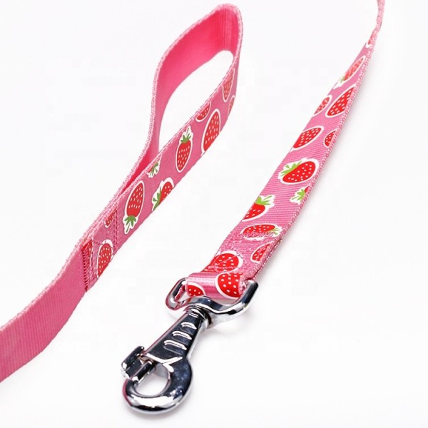 Quality OEM training dog leash Silk Screen Pattern dog training lead for sale