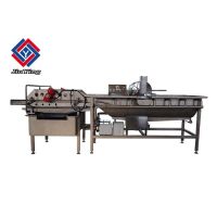 Quality Ozone Fruit And Vegetable Bubble Cleaning Machine For Salad Processing for sale