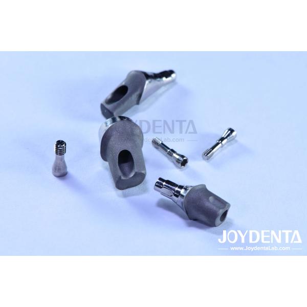 Quality Customized Dental Implant Abutments And Bars Internal Hex Connection for sale