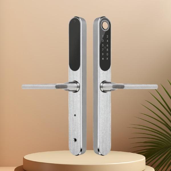 Quality Electronic Security Smart Sliding TT Aluminum Door Lock for Hotel for sale