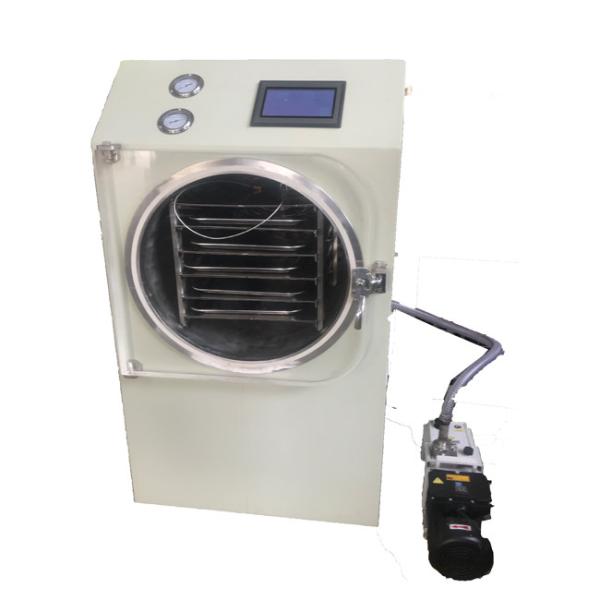 Quality 110-240V Food Bench Top Freeze Dryer 834x700x1300mm Small Dimension for sale