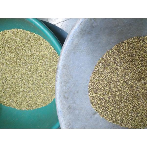 Quality 320 Channels 2-6T/H Throughput CCD Camera Optical Wheat Sorting Machine for sale