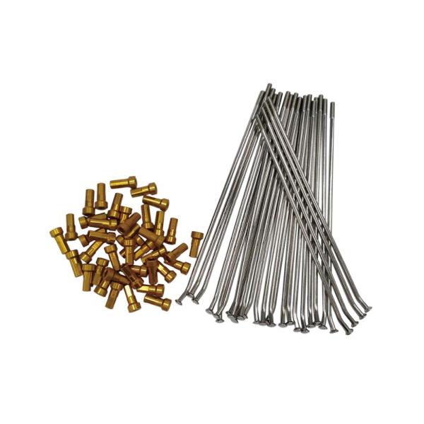Quality Stainless Steel Spokes and Gold Alloy Nipples for Motorcycle Repair/Replacement for sale