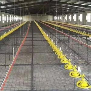 Quality Linear Feeder Poultry Automatic Pan Feeding System for sale