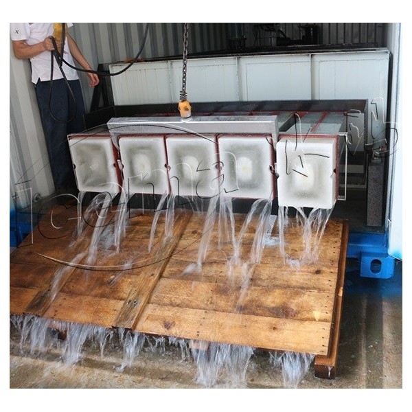 Quality Emerson 3 Ton Directly Cooling ICEMA Containerized Block Ice Plant for sale