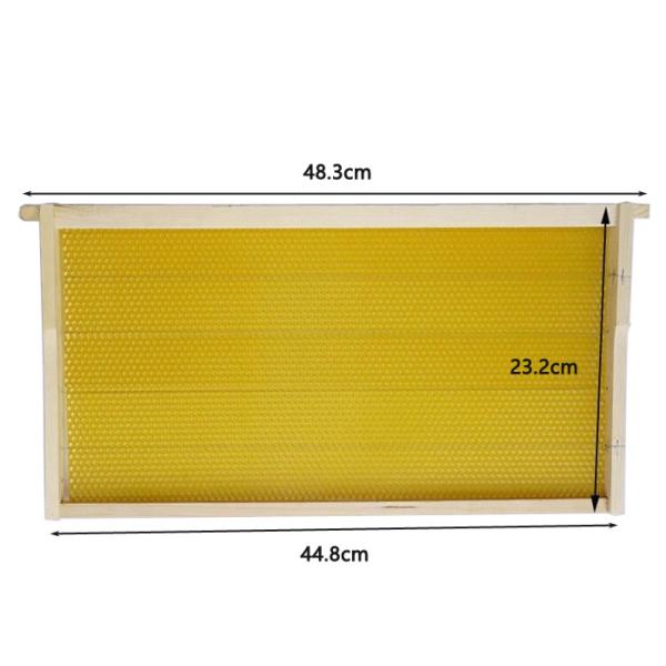 Quality Wholesale Customizable Langstroth High Quality Fames Dadant Style Wooden Beehive for sale