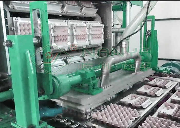 Quality Rotary Egg Tray Forming Machine / Egg Tray Equipment Energy Saving for sale