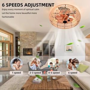 Quality simple and elegant Wholesale Cheap Price Rattan Home Caged Remote Control DC for sale