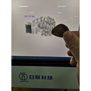 Quality Advanced X-Ray Inspection System for Unwanted Object Detection 450kg Capacity for sale