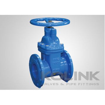 Quality Cast Iron Resilient Seated Gate Valve Encapsulated Disc Non-rising Stem for sale