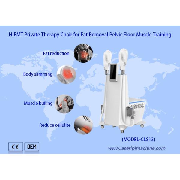 Quality 2 Handles Buttbuck Lifting Weight Loss Ems Machine Sculpting Muscle Massage for sale