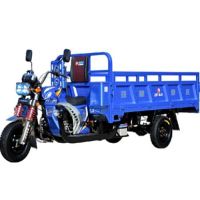 Quality Engine 200CC 3 Wheeler Gas Motorized Tricycle for sale