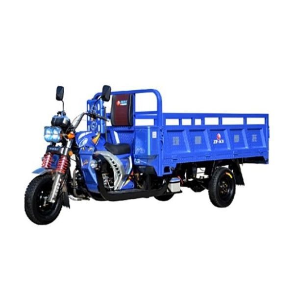 Quality Engine 200CC 3 Wheeler Gas Motorized Tricycle for sale