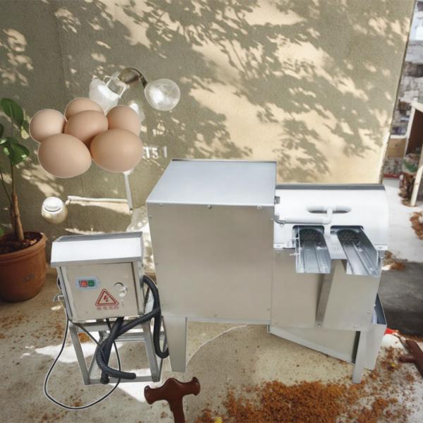 Quality Automatic Egg Cleaner Washer Egg-Washing-Machine Chicken Duck Washer Egg Washing for sale