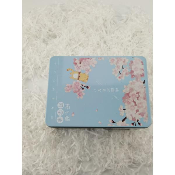 Quality PMS Printing Matte Finish Metal Rectangular Tin Box With Lid for sale