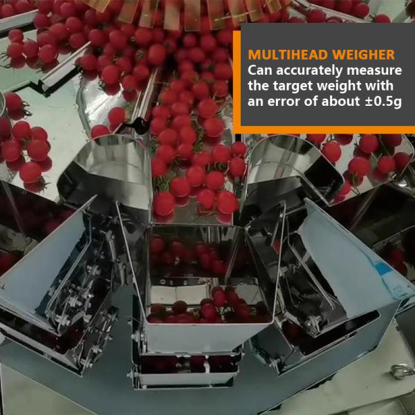 Quality Linear Automatic Filling Machine Cherry Blueberry Strawberry Tray Box Packaging for sale