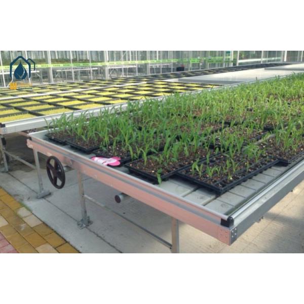 Quality Agricultural Ebb And Flow Rolling Benches Indoor Grow Room Benches for sale