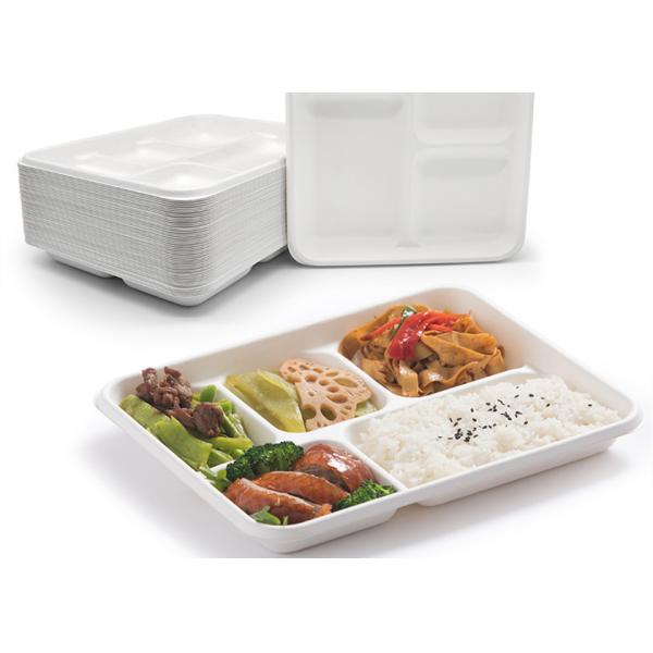 Quality School Disposable Biodegradable Bagasse Tableware 6 5 3 Compartment Lunch Tray for sale