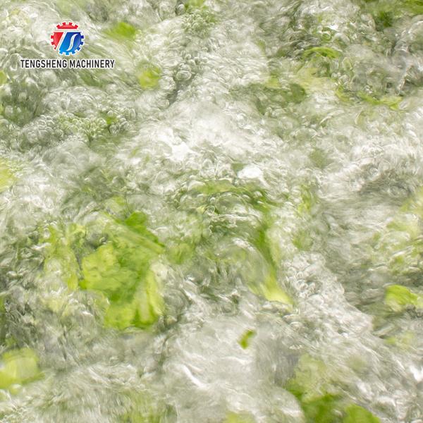 Quality Bubble washing vibration air drying production line Orange Vegetable Herbs Fruit for sale