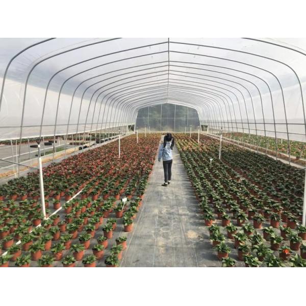 Quality Arched Temperature Control Tunnel Green Houses With Outside Shading System for sale