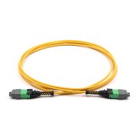 Quality OS2 Yellow Jacket 12 Fiber Trunk Cable , MPO Trunk Cable For Datacenter for sale