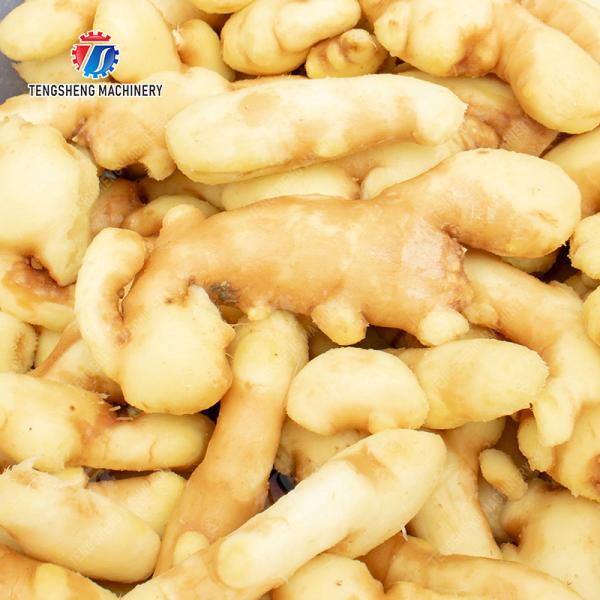Quality Brush washing and hoisting production line Ginger Potato Carrot Taro Sweet for sale