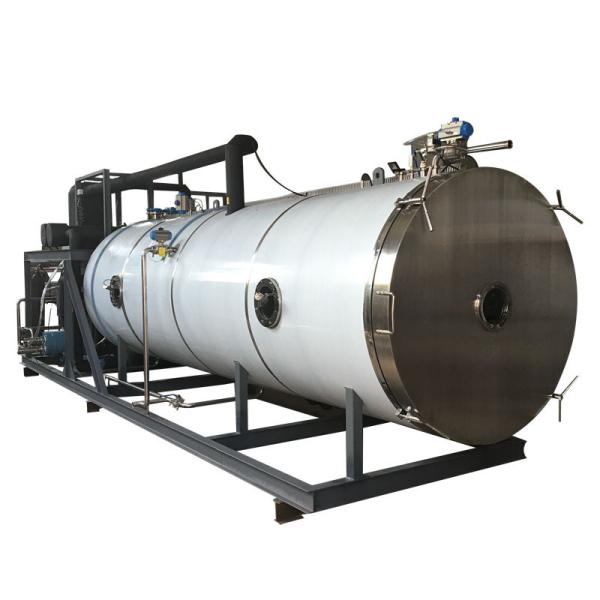 Quality Instant Food Vegetable Rice Drying Machine Large Automatic Freeze Dry Vacuum for sale