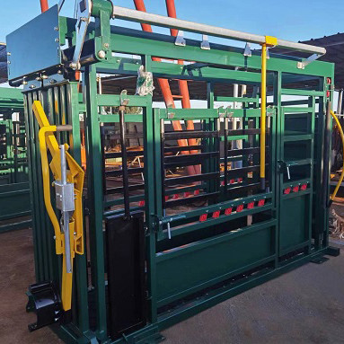 Quality Powder Coated Cow Crush Rectangle Cattle Crush With Scales Heavy Duty for sale