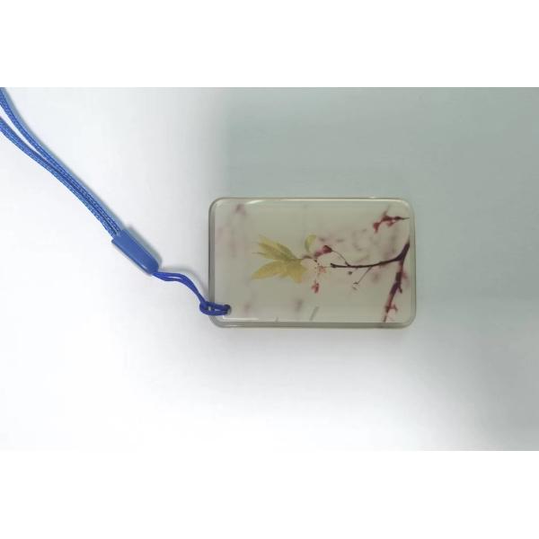 Quality ISO14443A RFID NFC Tags 13.56Mhz NFC Epoxy Tag For Access Control System for sale
