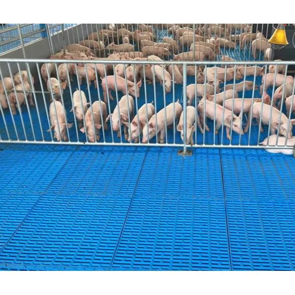 Quality High Strength Easy To Clean And Maintain GRP Floor Grating FRP Molded Pig for sale