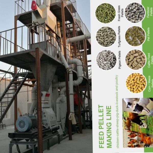 Quality 1-5 Tons/H Horizontal Pellet Mill Ring Die Chicken Feed Manufacturing Machine for sale