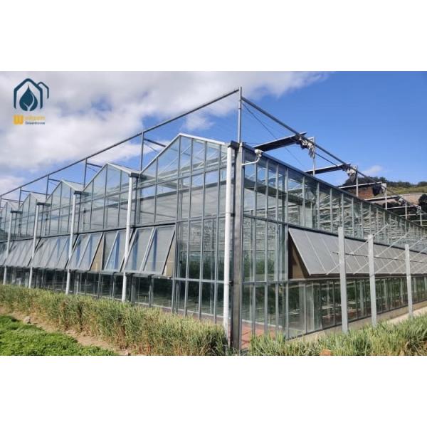 Quality Multi Span Large Glass Greenhouses Commercial Hydroponic Strawberry Greenhouse Square for sale