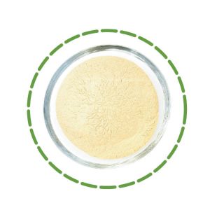 Quality Agricultural Probiotics Fermentation Bacteria Microbial Inoculants As Biofertili for sale