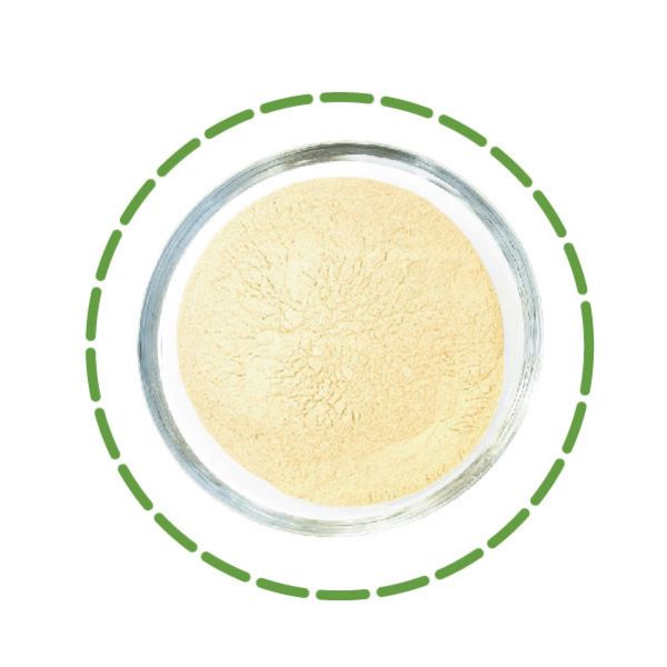 Quality Agricultural Probiotics Fermentation Bacteria Microbial Inoculants As Biofertilizer for sale