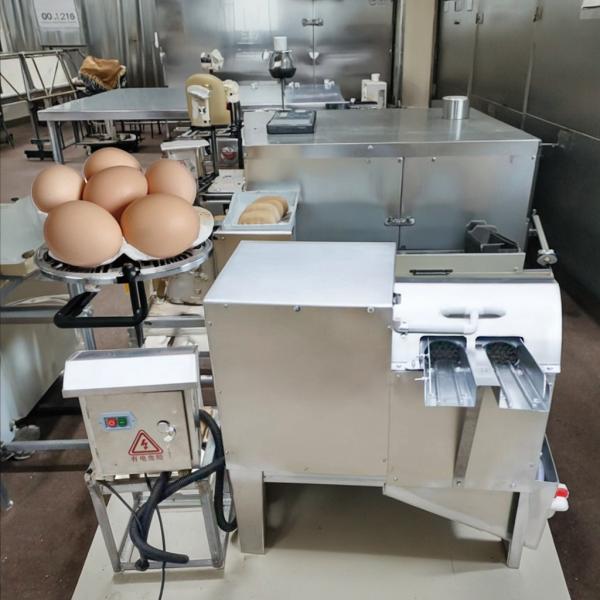 Quality Steel Type Chicken Cleaner Washing Machine Duck Egg Brush Washer for sale