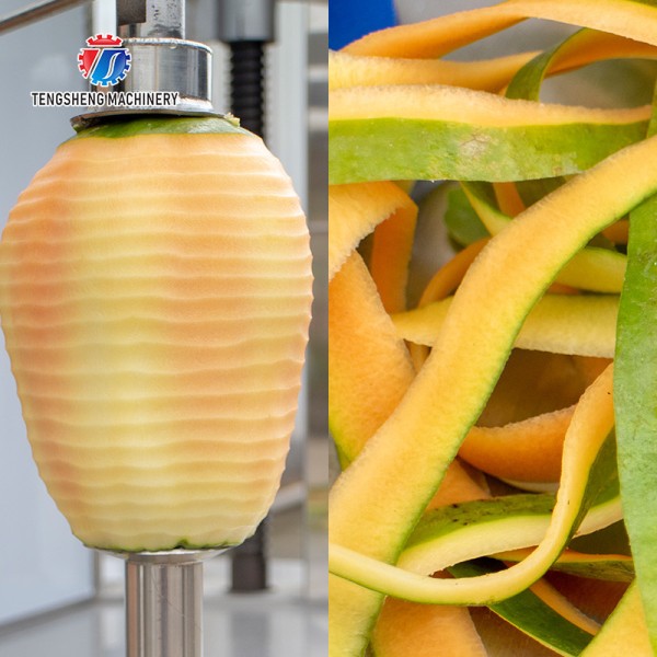 Quality Gourds Medium Sized Melon Fruit And Vegetable Peeler Machine Double Headed for sale