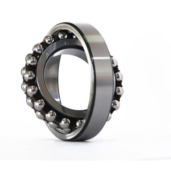 Quality Double Row Self Aligning Ball Bearings Normal Clearance Standard Cage Ball for sale